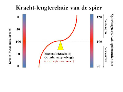 Krachttrainingsvisie deel 3.