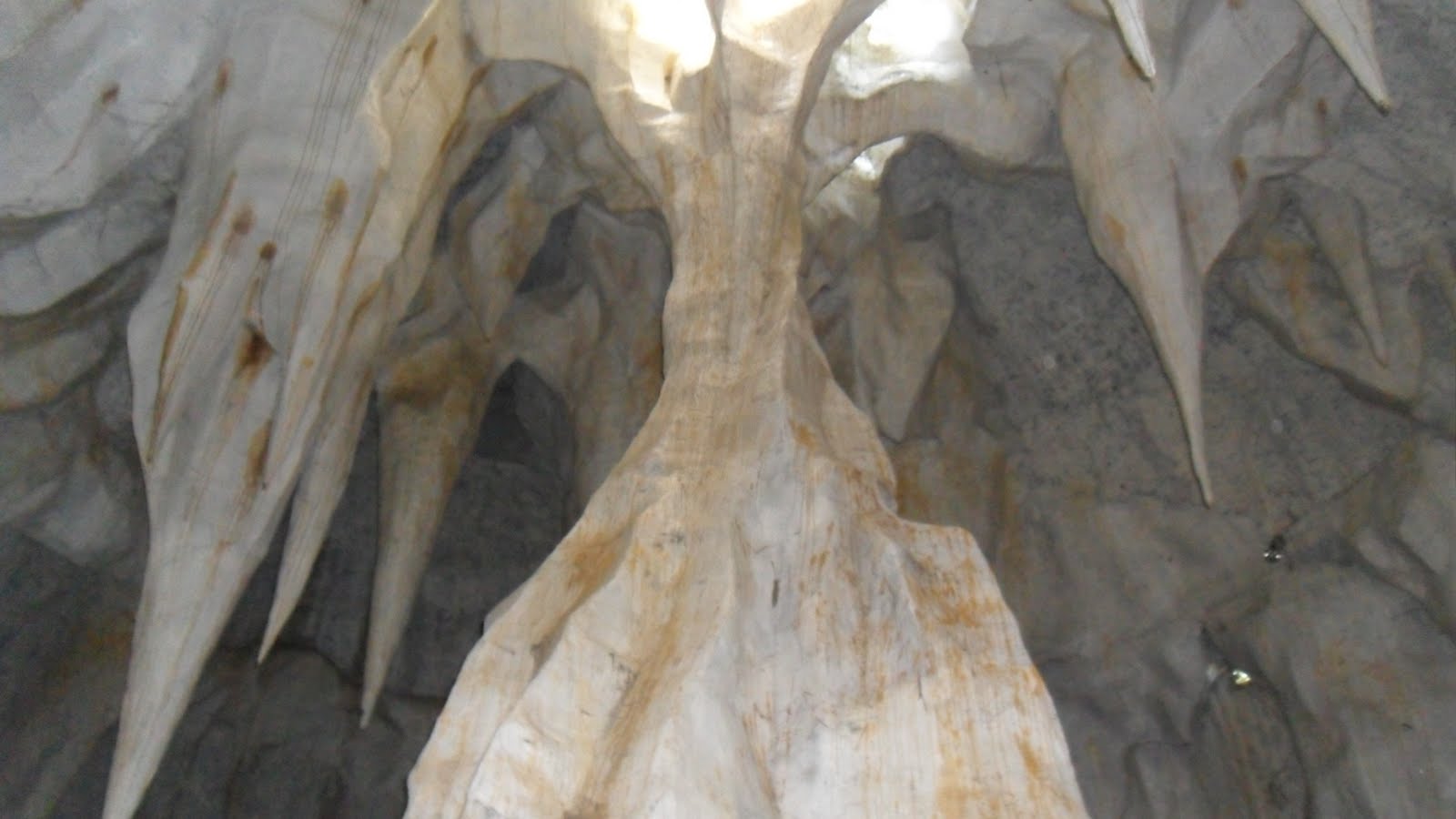 Supernatural Philippines: Mysterious Creature Photographed in a Man ...