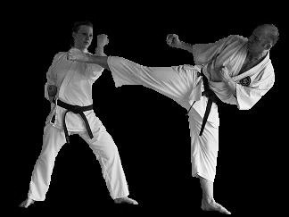 Shotokan Karate - art of the empty hand: the value of karate blocks