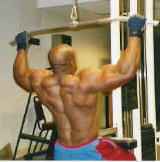 all about GYM: Back workout