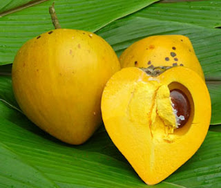 greeny crops: Canistel (egg fruit or yellow sapota)