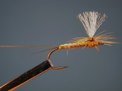 River Fly Box: Demos, realistic fly tying & furled leaders