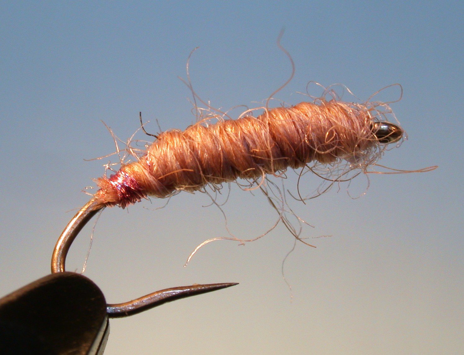 River Fly Box: Killer Bug - a new addition to the RFB