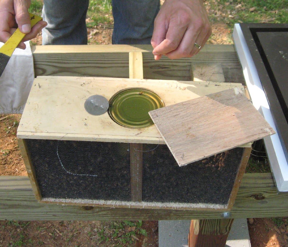Beaver Creek Bees: Package & Installation