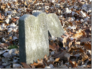 Wait! I Have a Blog?!: October 2010