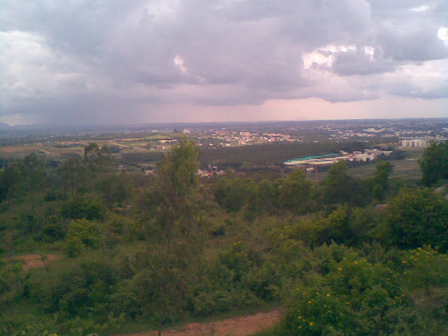 My "Earthly" Experiences: Turahalli Forest: Lost In My Backyard