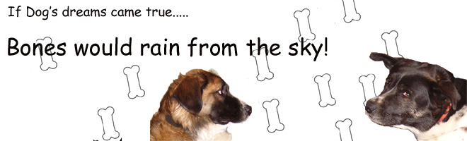 Bones would rain from the sky