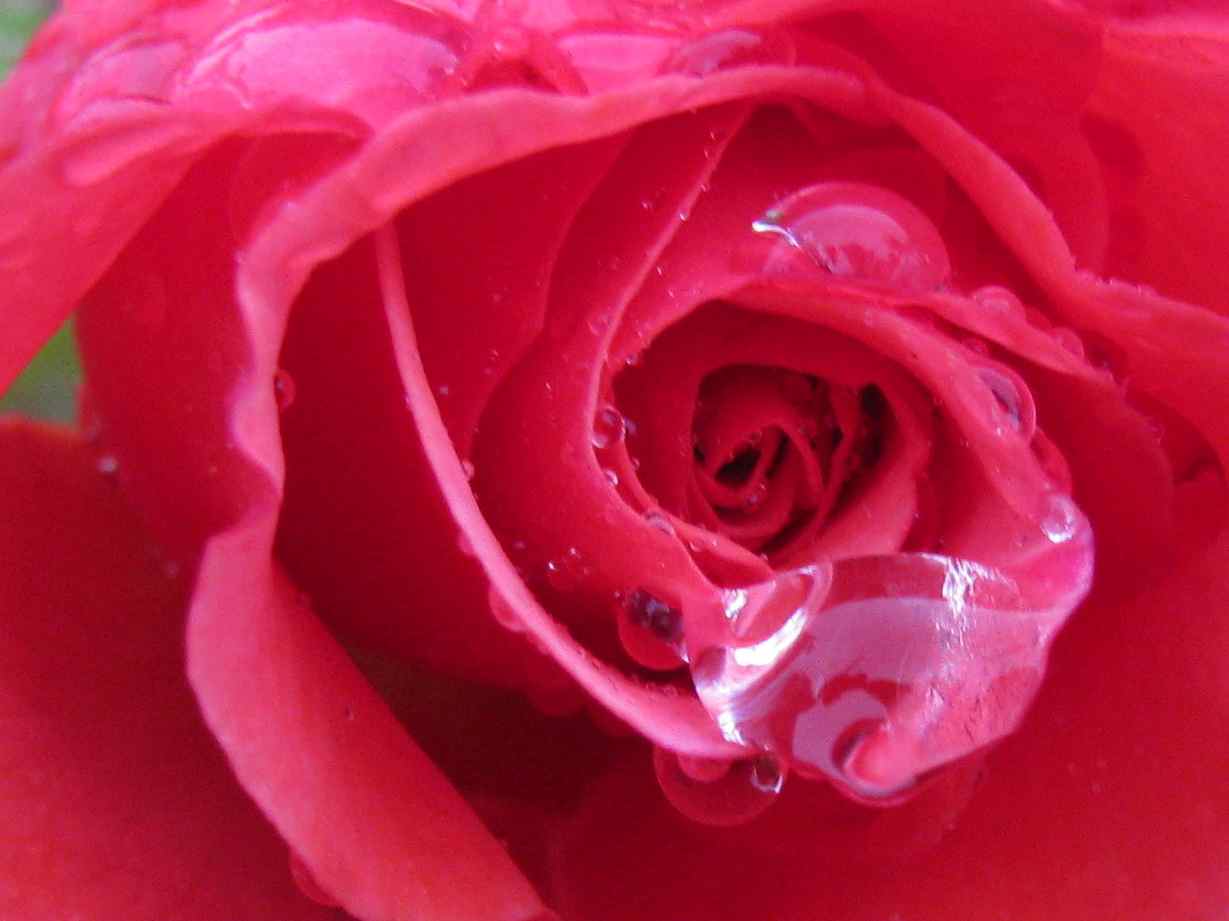 DJan-ity: My own Eye Catchers