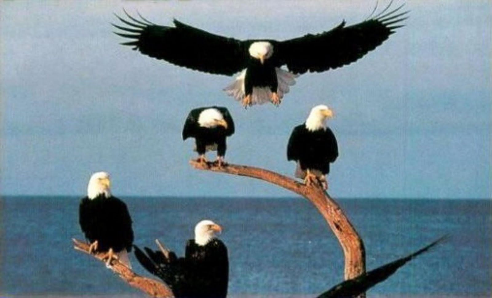 WAWASAN PENGETAHUAN: SERI BERITA