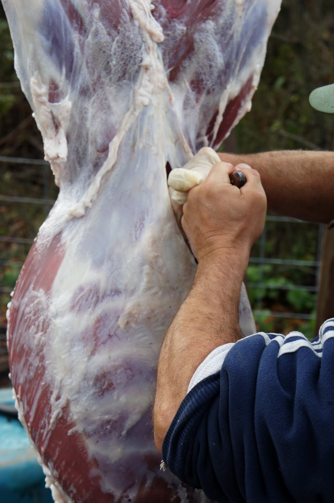 A MAN AND HIS MEAT: A Guide To Butchering Sheep
