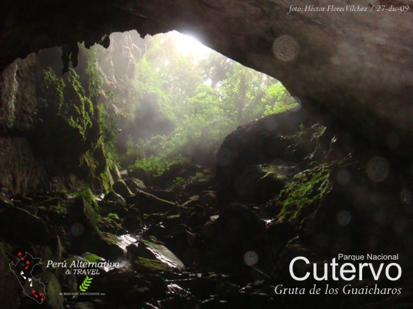 Perú Alternativo: TREKKING: Cutervo, Parque Nacional y El Pilco