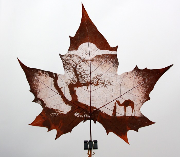 scattering rainbow: Incredible Carved Leaves Artwork