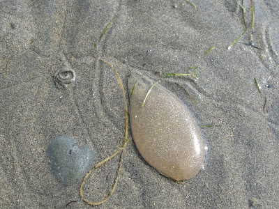 Wanderin' Weeta (With Waterfowl and Weeds): What a difference a shoe makes!