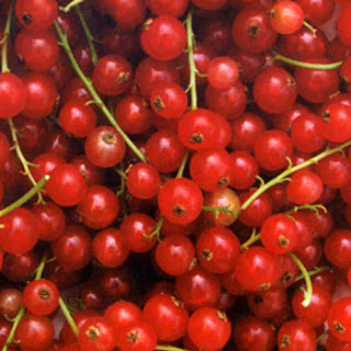 Licor da Terra -: Groselha