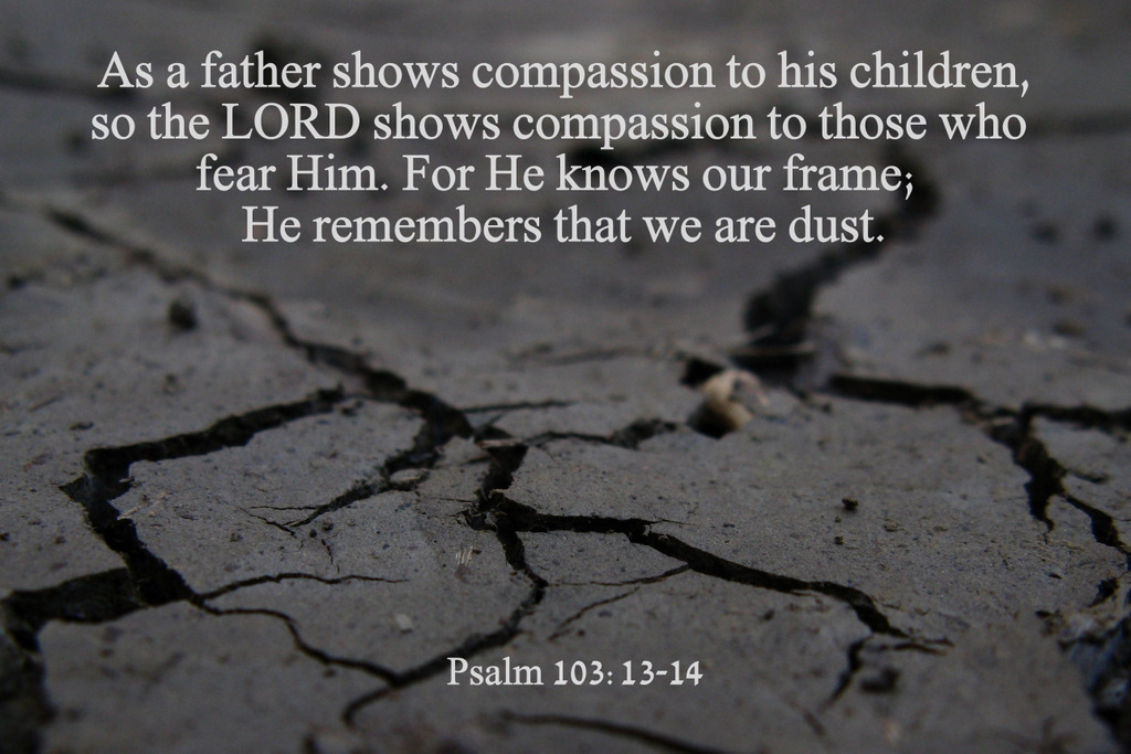 Glimpses of Creation: Psalms