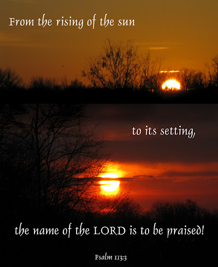 Glimpses of Creation: Psalms