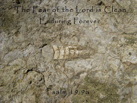 Glimpses of Creation: Psalms