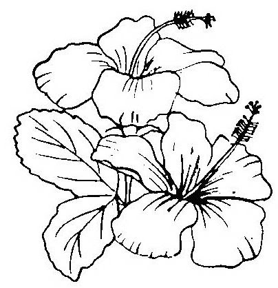 47+ Cara Melukis Gambar Bunga Raya