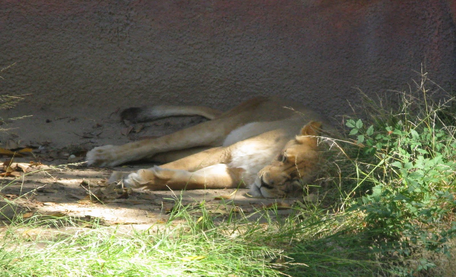 schoolpants: June 2010