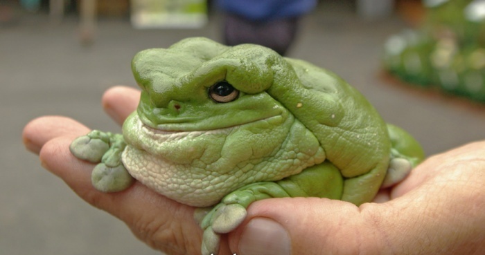 MaLaYN3um: Katak Cute