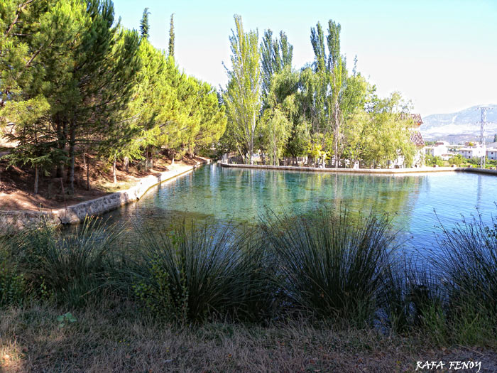Flora y Fauna de Arbuniel (Jaén): Nacimiento río Arbuniel