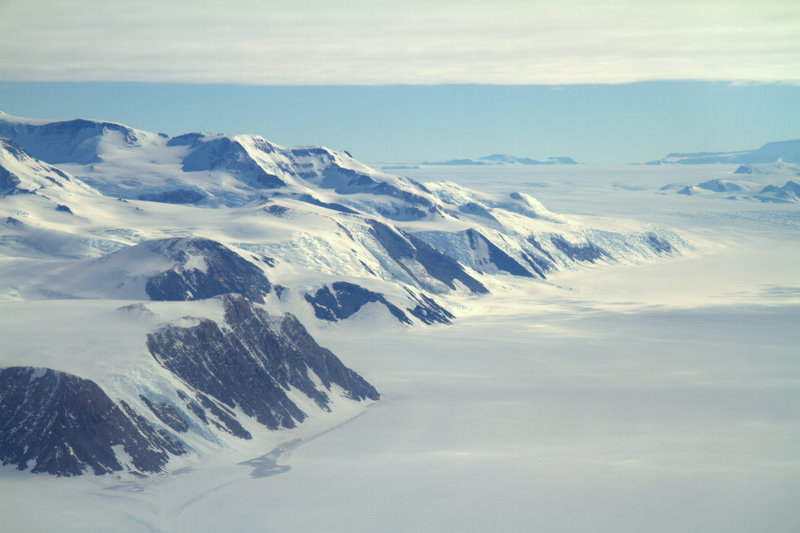 A Day in the Life...: Otters, Penguins and Seals..oh my!