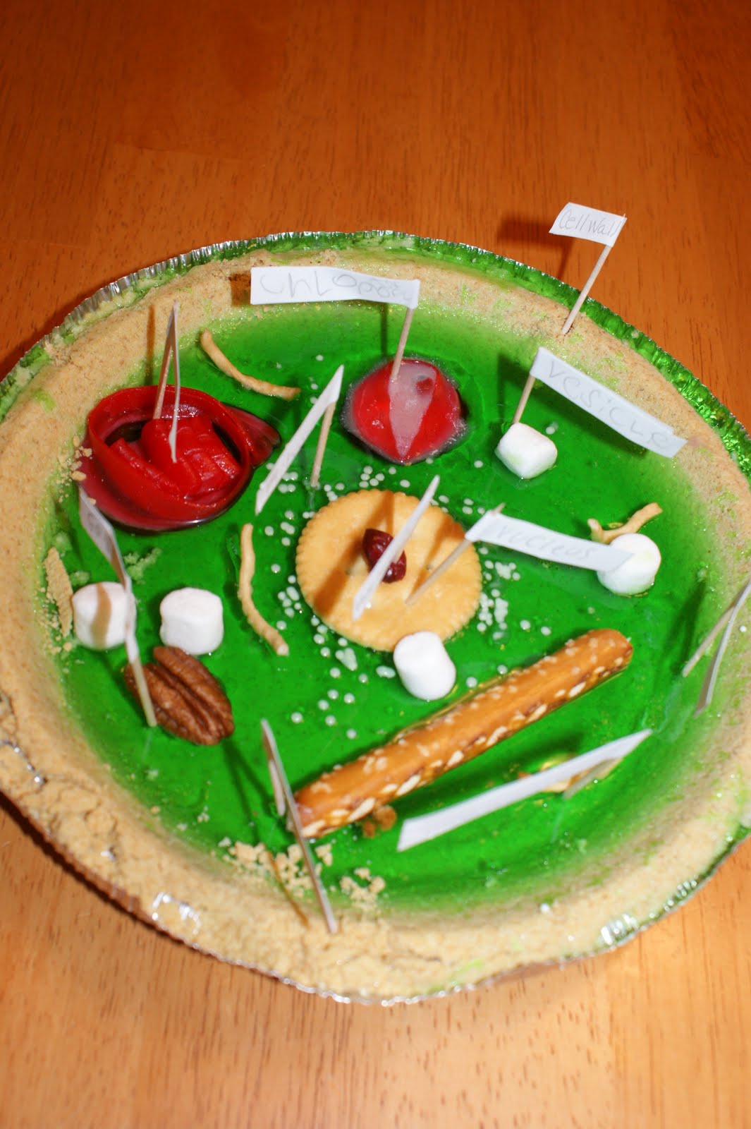 Raising Sweet Souls....: Edible Plant Cell