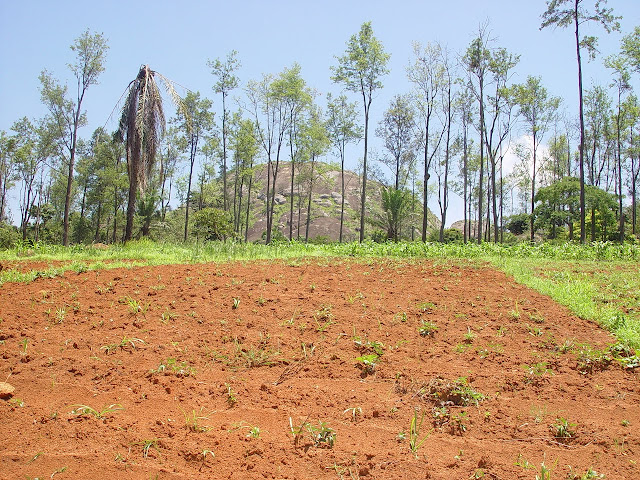 Angola Rural | Qual é o Toke?