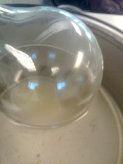 EQUIPO 9: PRÁCTICA No. 2 DETERMINACIÓN DE LÍPIDOS (EXTRACTO ETÉREO)