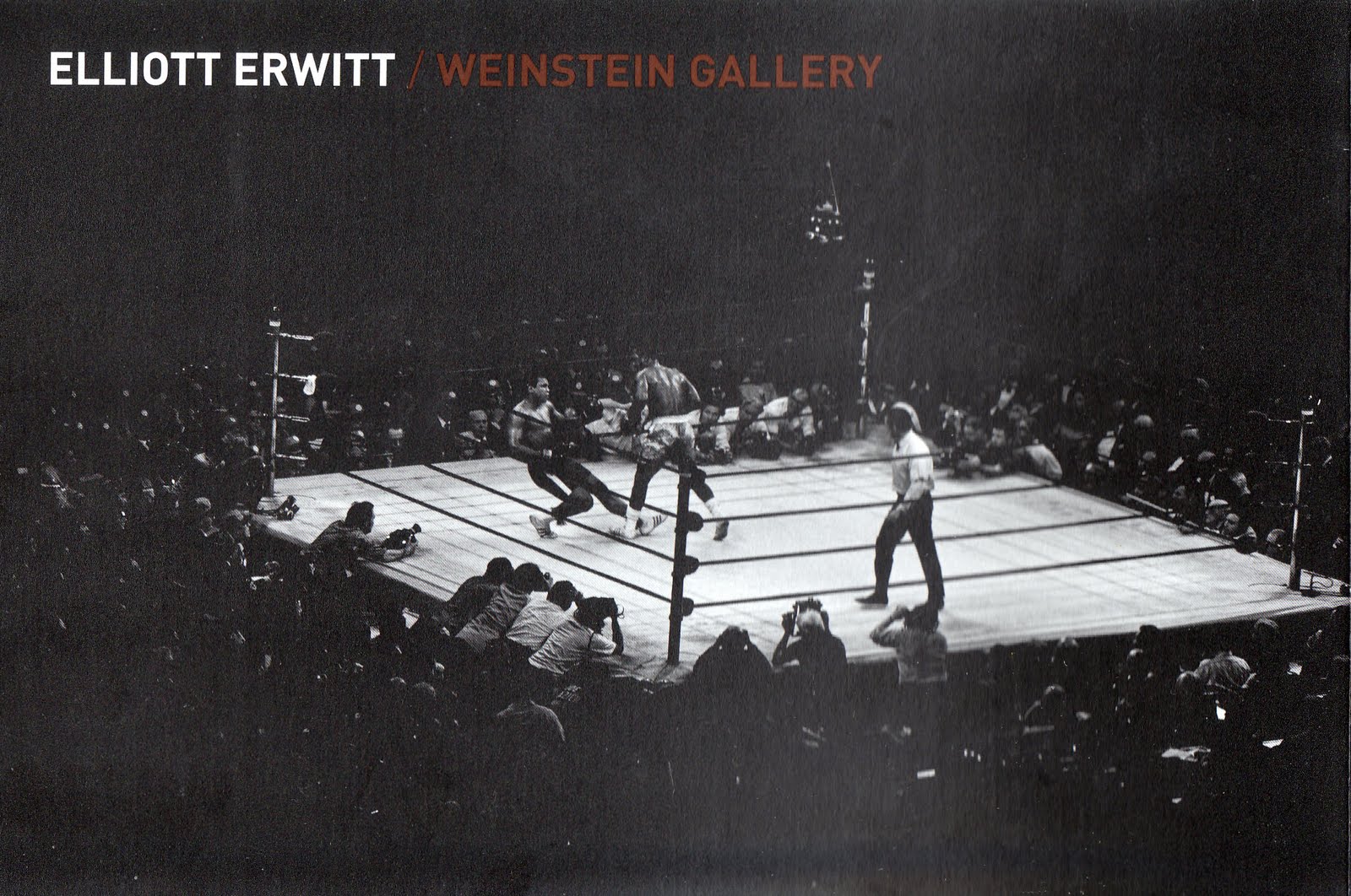 diamondposte: elliott erwitt at the weinstein gallery