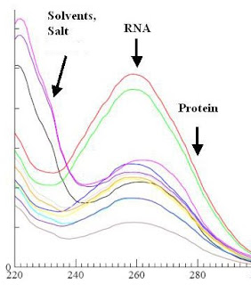 RNAse free: RNA quality control