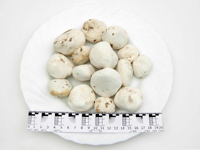 COCINA Y ALGO MAS...: El Chuño Y La Tunta...