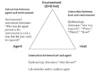 Live the Life: The Triangle of Life