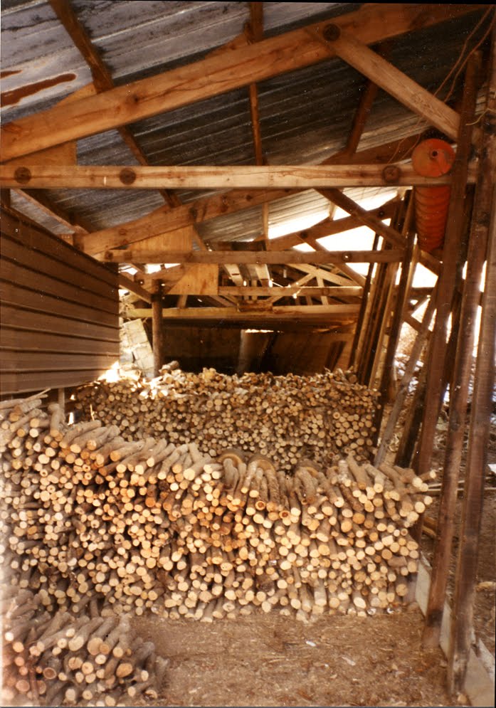 THE LONG BRANCH RANCH