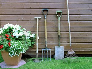 The Garden of Eden for Gardeners (Garden Tools World): How to Pick the ...
