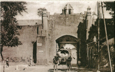 NÚCLEO DE ANIMAÇÃO CULTURAL DE GOA DAMÃO E DIU