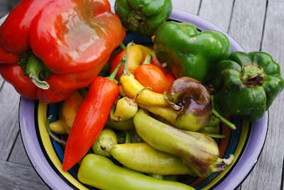 Taste Talks: The colourful world of chillies