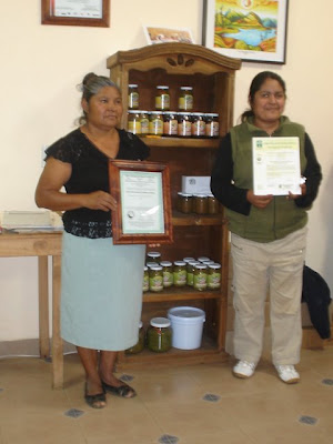 comunitario501