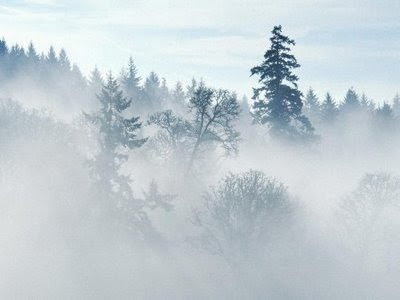 TRAVEL INTO WORLD: Best Pictures of the Fog