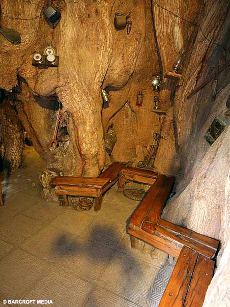 African Birth Collective-Senegal: Baobab Trees