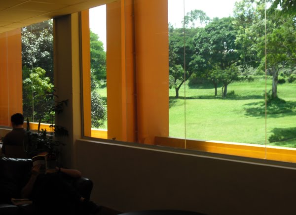 Blog To Express: Queenstown Public Library - 40th Anniversary