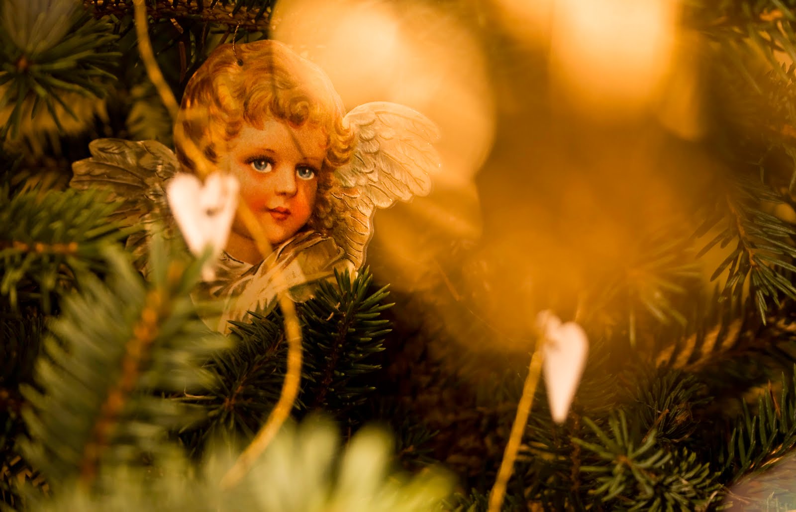 Nourish: A Christmas Angel