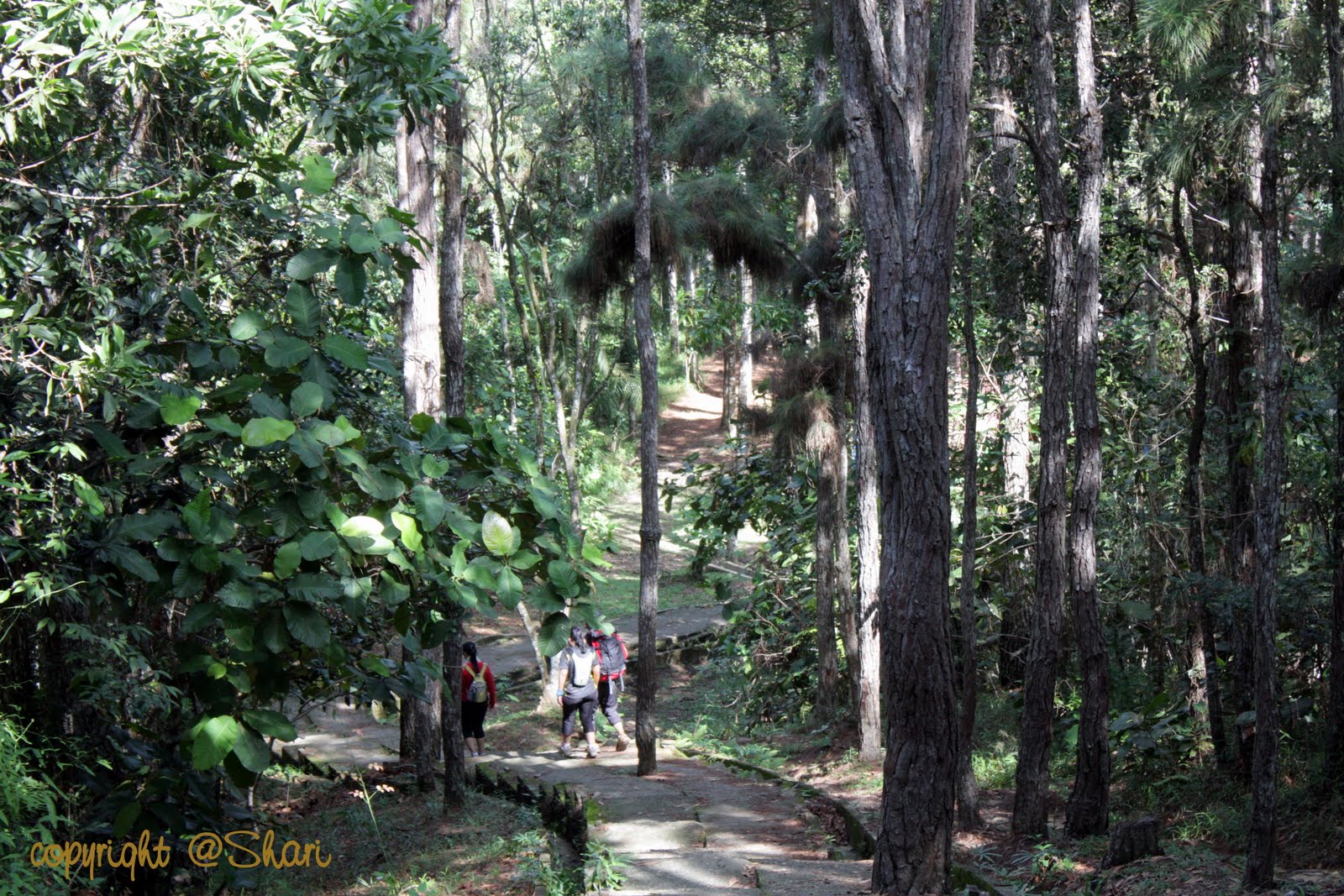 Galeri Potret: # 032 Bukit Shahbandar Recreational Park