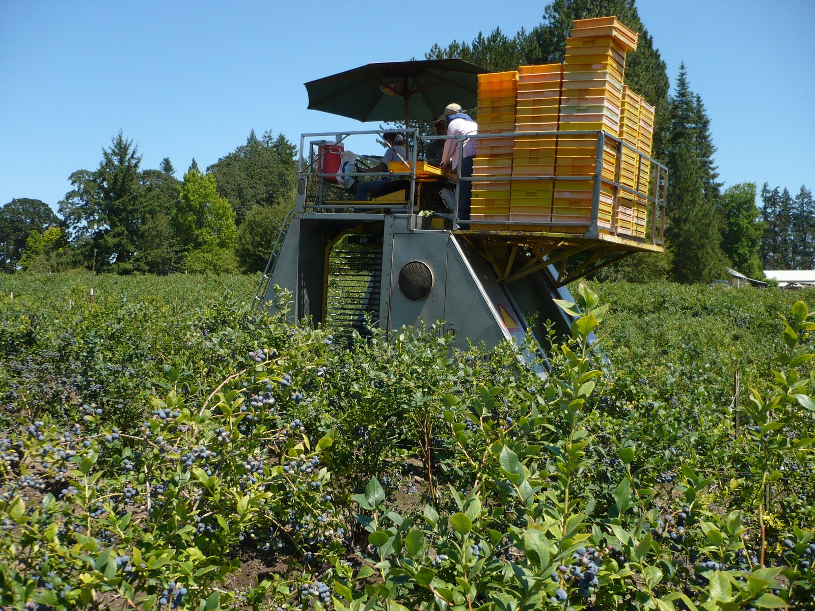 Denise Vivaldo Blogs: August 2010