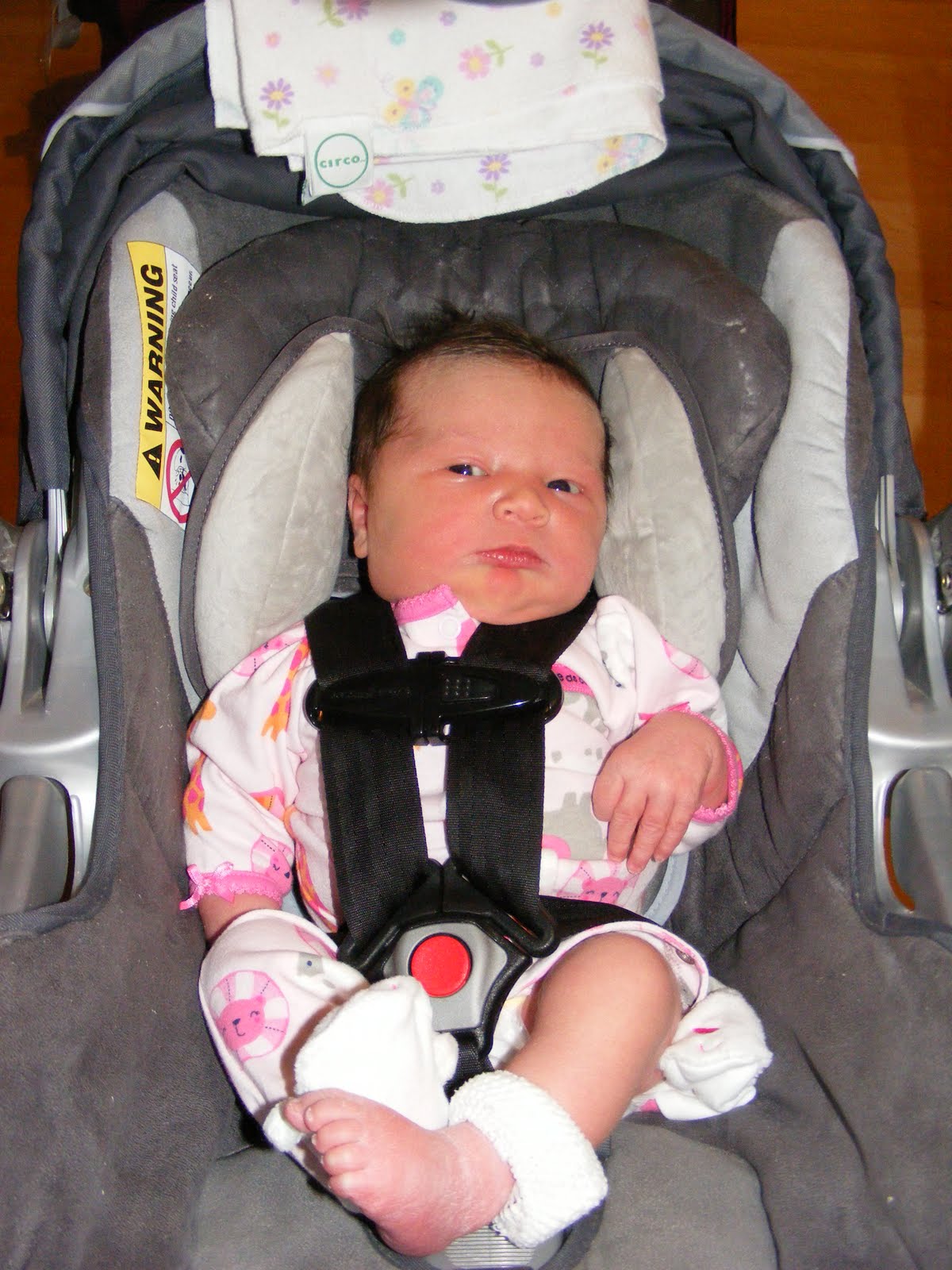 Going Greene: April 2010