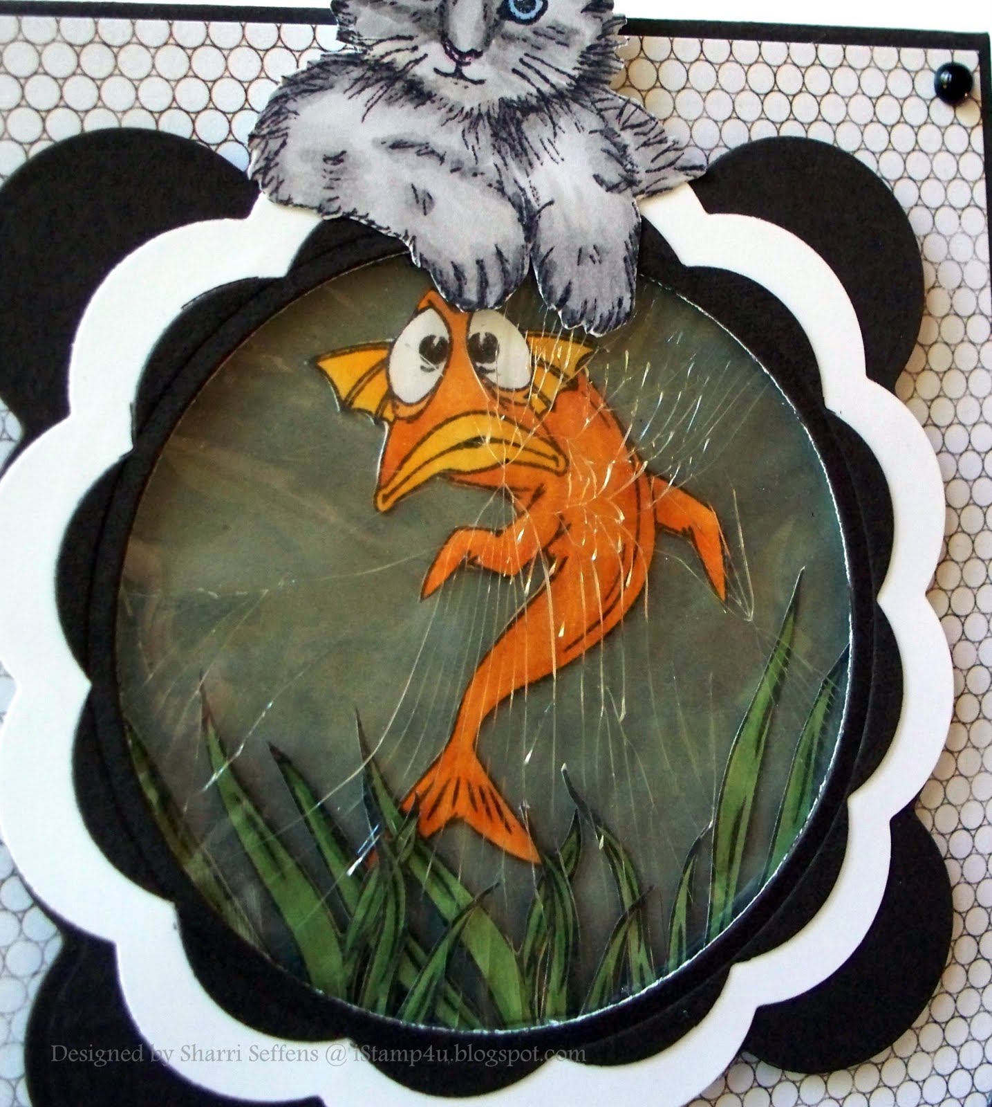 iStamp4u: 5/1/10 - 6/1/10