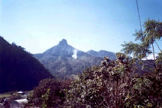 El entorno... calnali