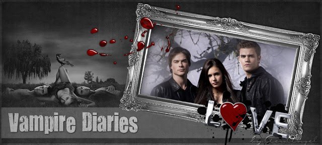Slash Through The Frozen Heavens: The Vampire Diaries