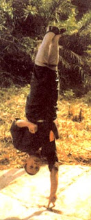 The Trees are Trees: Two-finger handstand