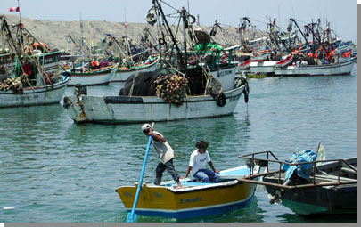 De Esperanza a dos minutos: La pesca en Perú